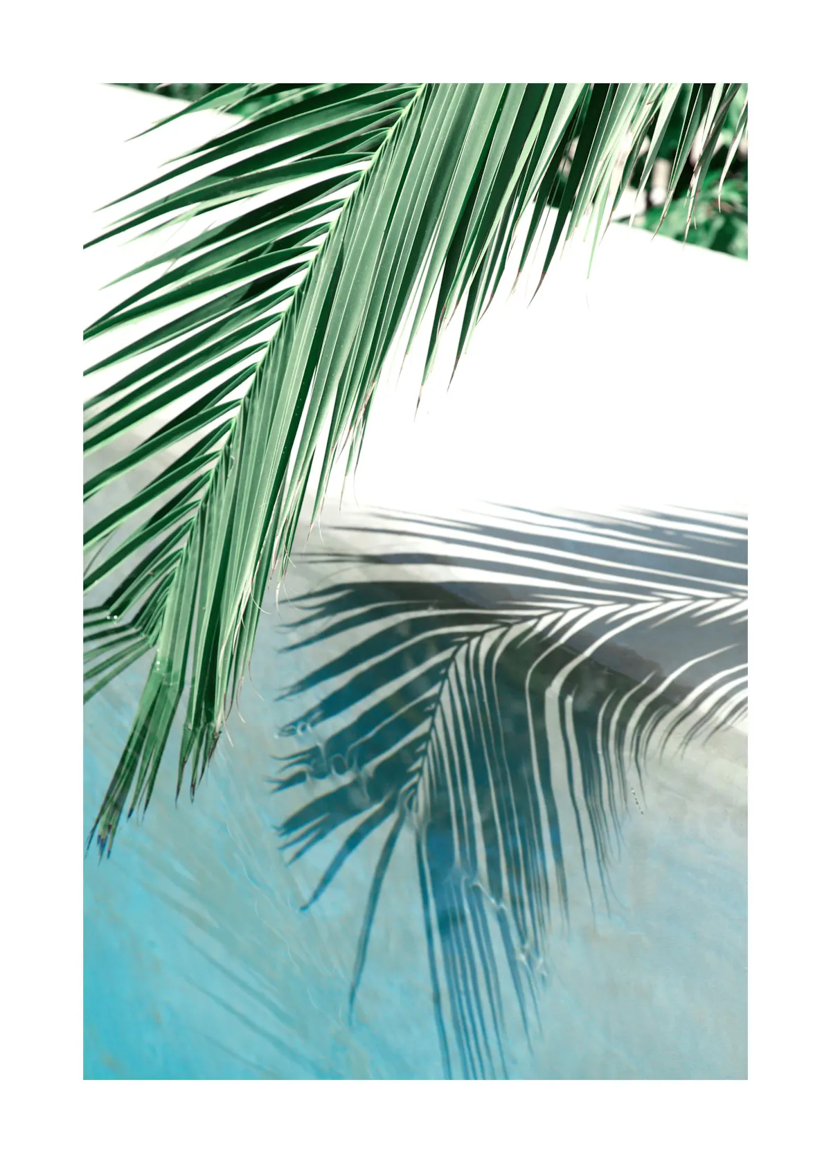 Wall Art for Every Space – Style Your Home | Poster Store
