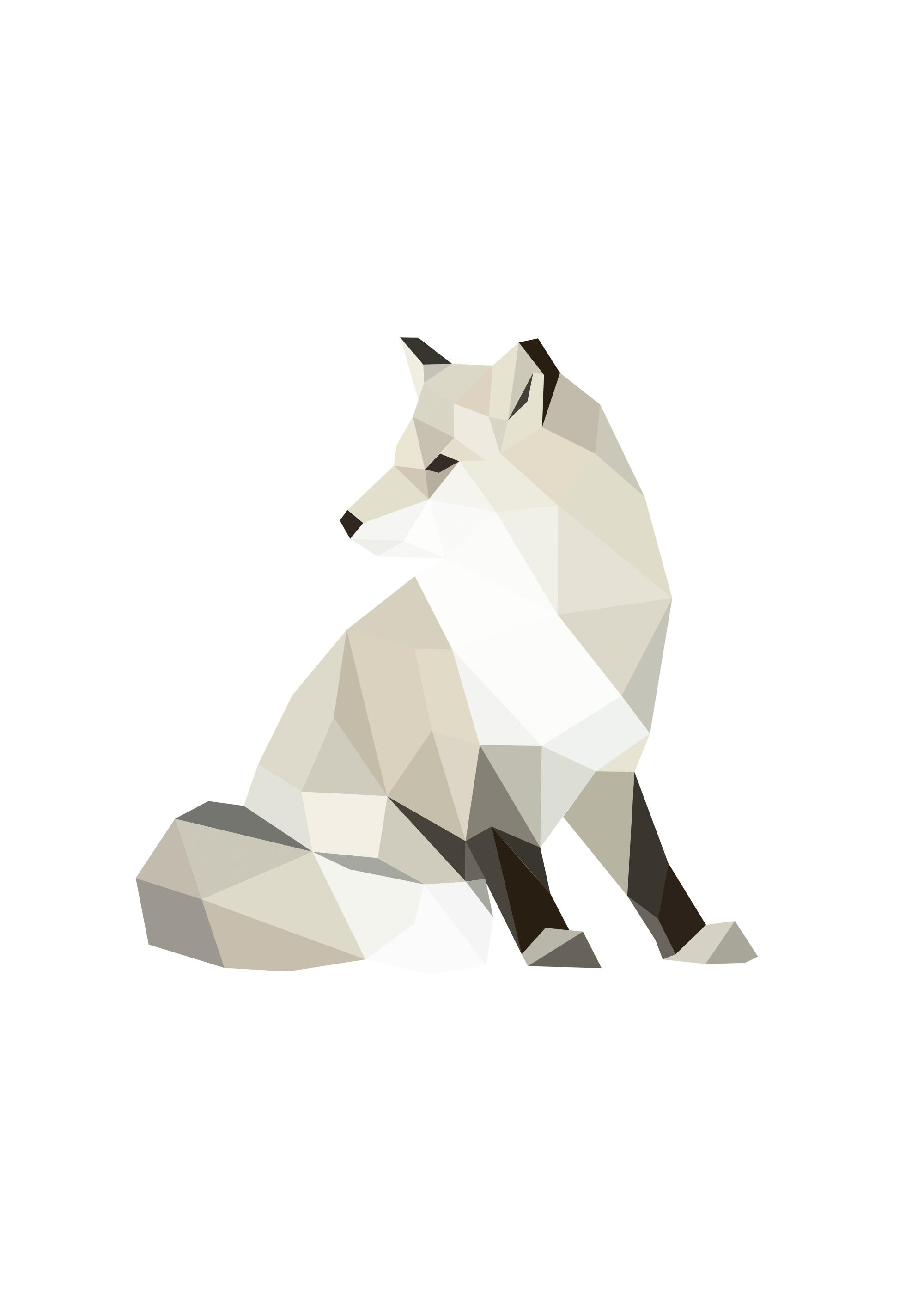 Polygon Fox geometrisk rev plakat | Poster Store NO