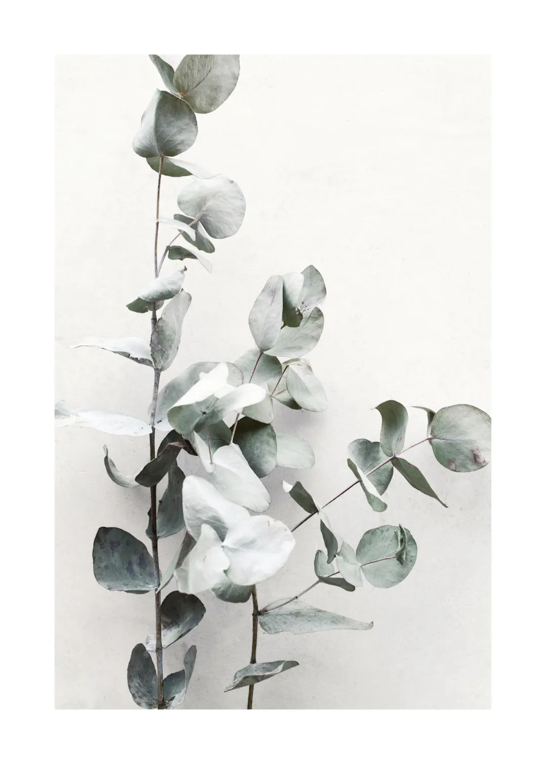 Blooming in Green Poster | Flower Posters Delicate Art | Poster Store USA