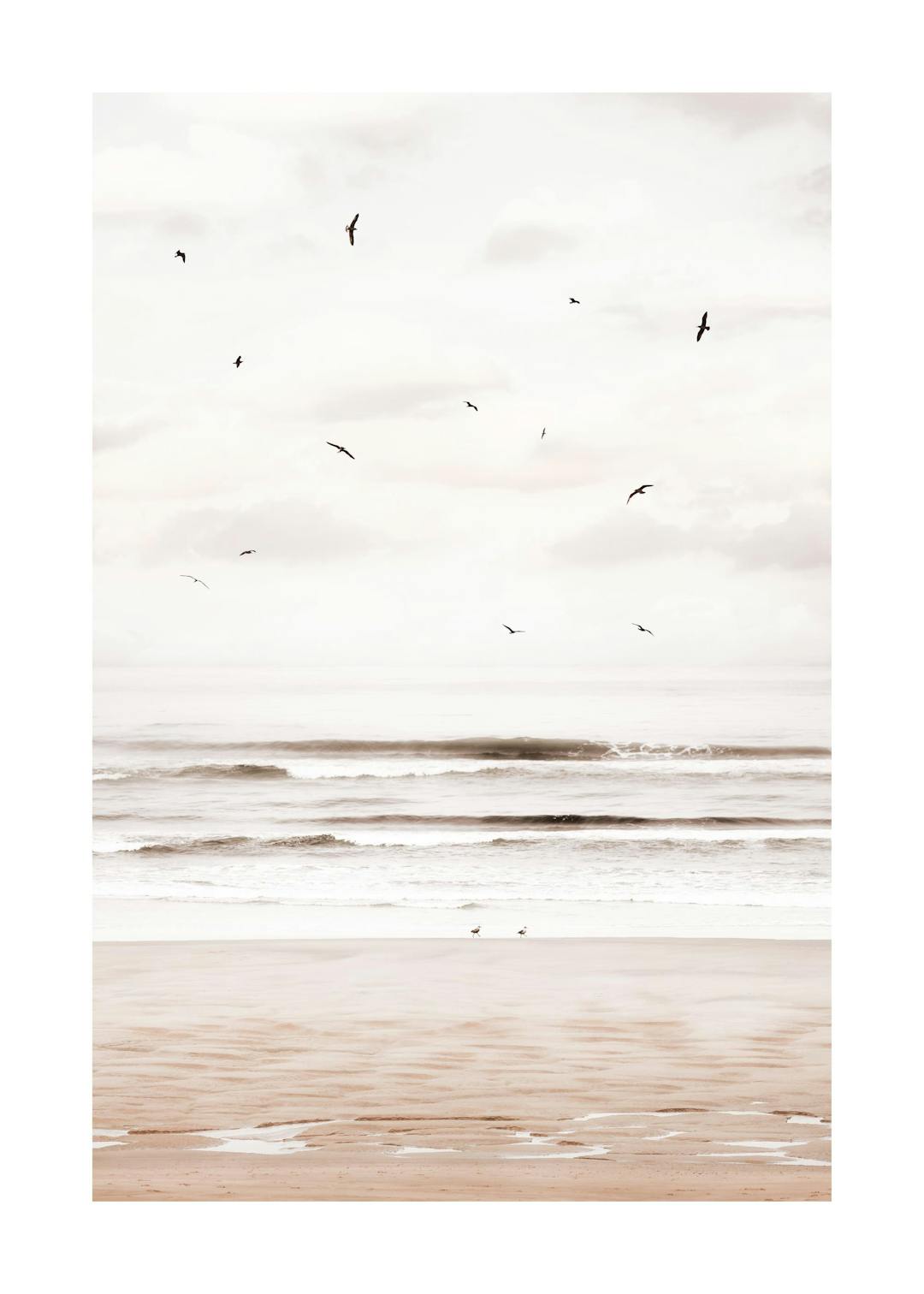 Beach Shells Poster with Vintage Coastal Style | Poster Store US