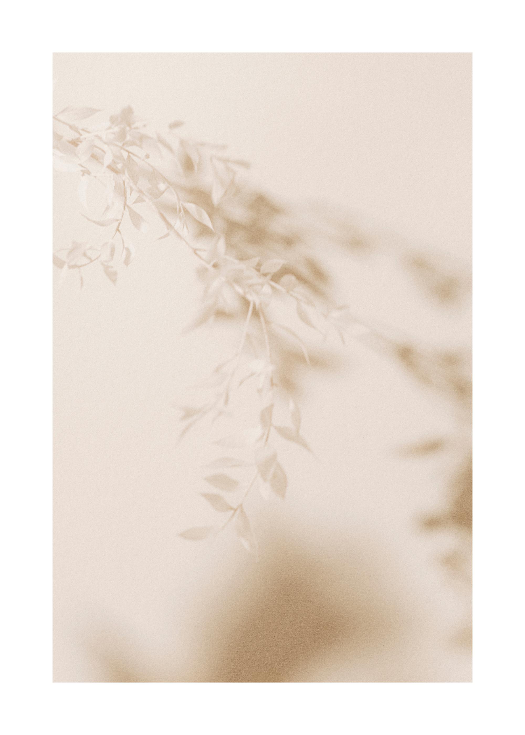 Hojas Beige Póster con arte botánico beige | Poster Store US