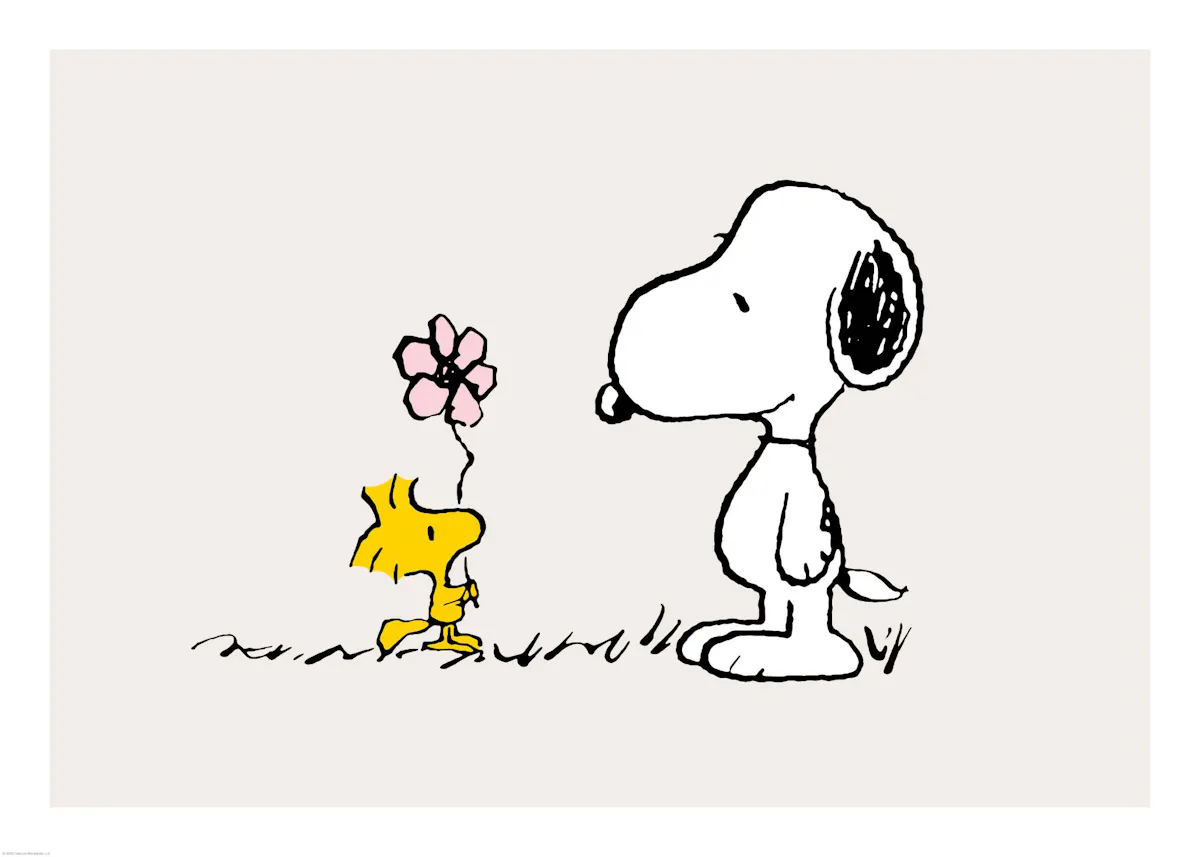 Snoopy Driving Surfing Cartoon Poster | Poster Store NZ