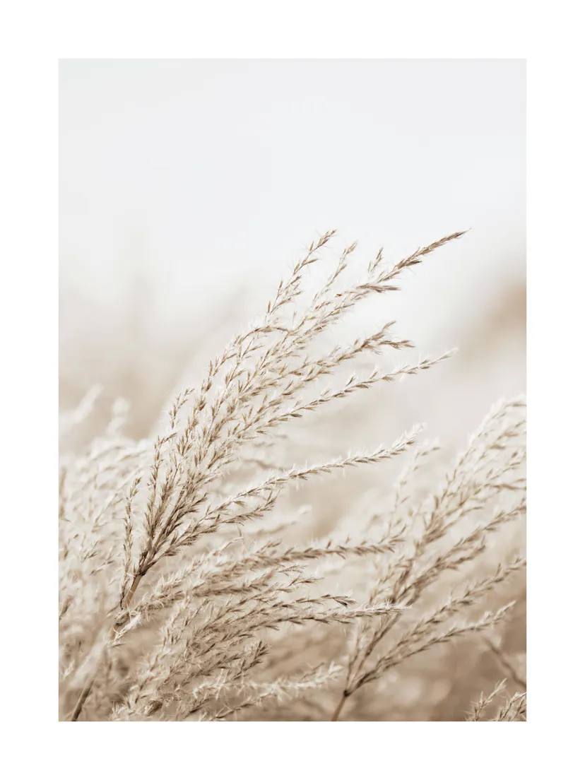 Calming Tones of Beige Wall Art Poster | Poster Store CA