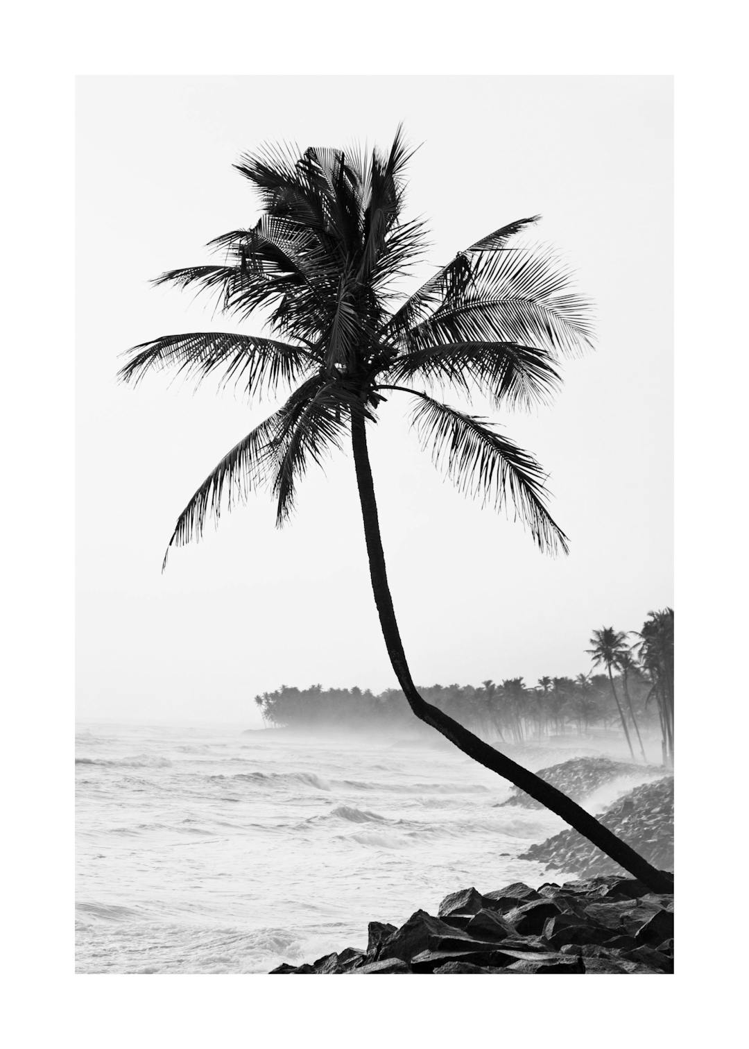 Shop discounted posters online at Posterstore.co.uk