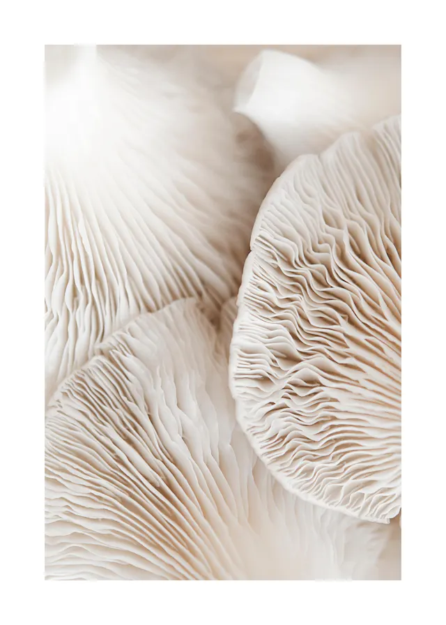 Calming Tones of Beige Wall Art Poster | Poster Store CA