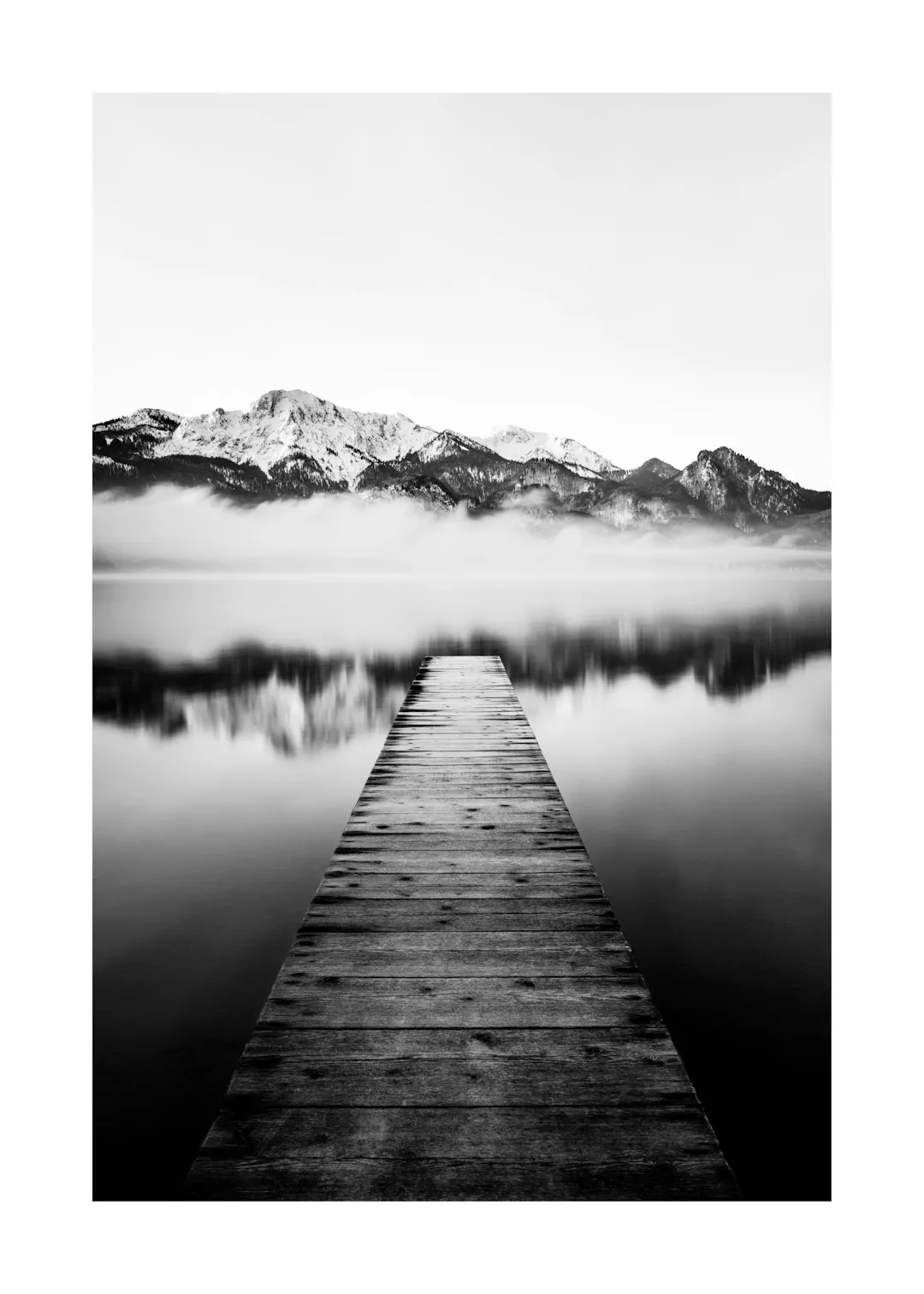 Tree Reflection Poster in Black and White Nature Prints | Poster Store CA