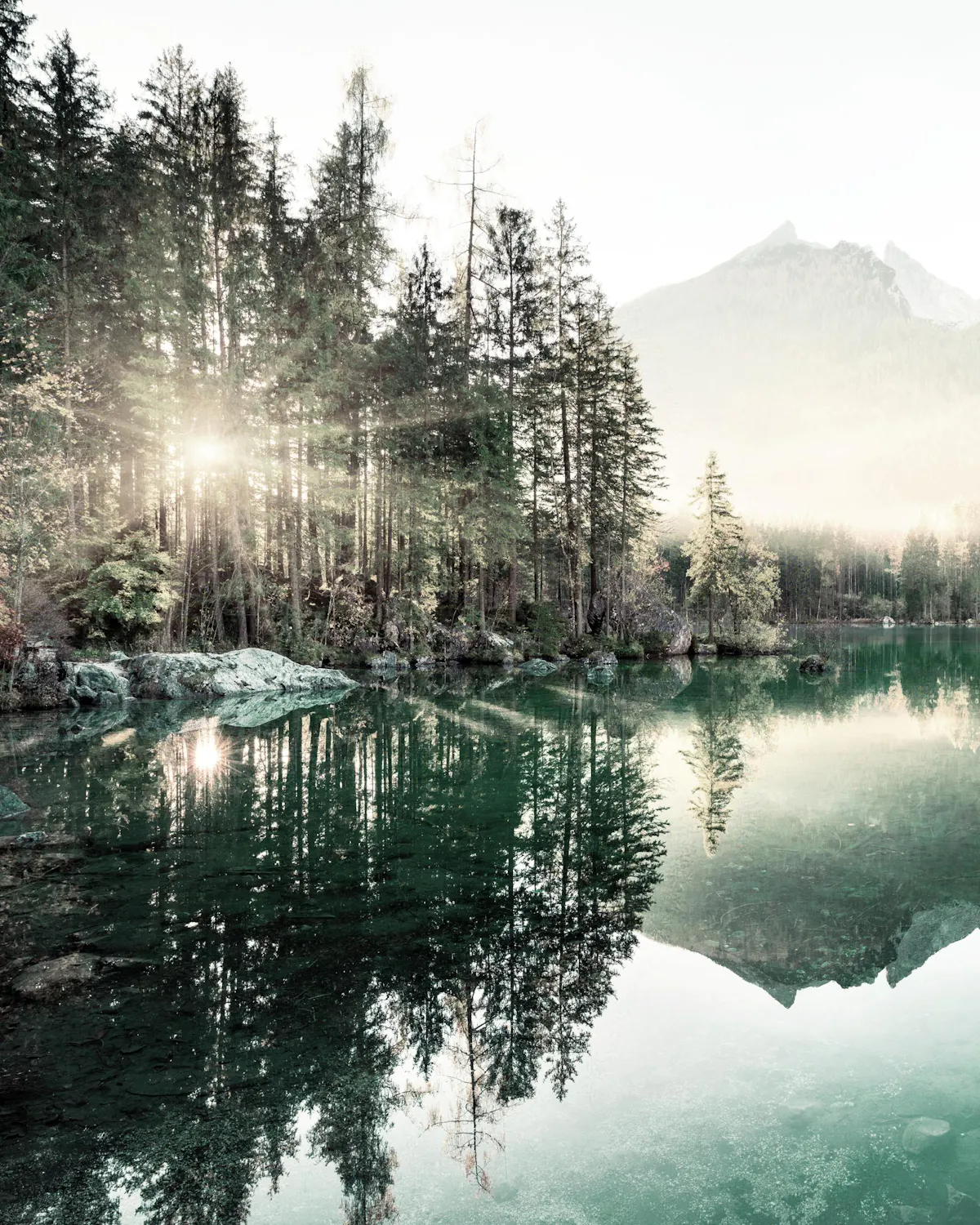 Green and Cosy Nature Gallery Wall | Poster Store CA