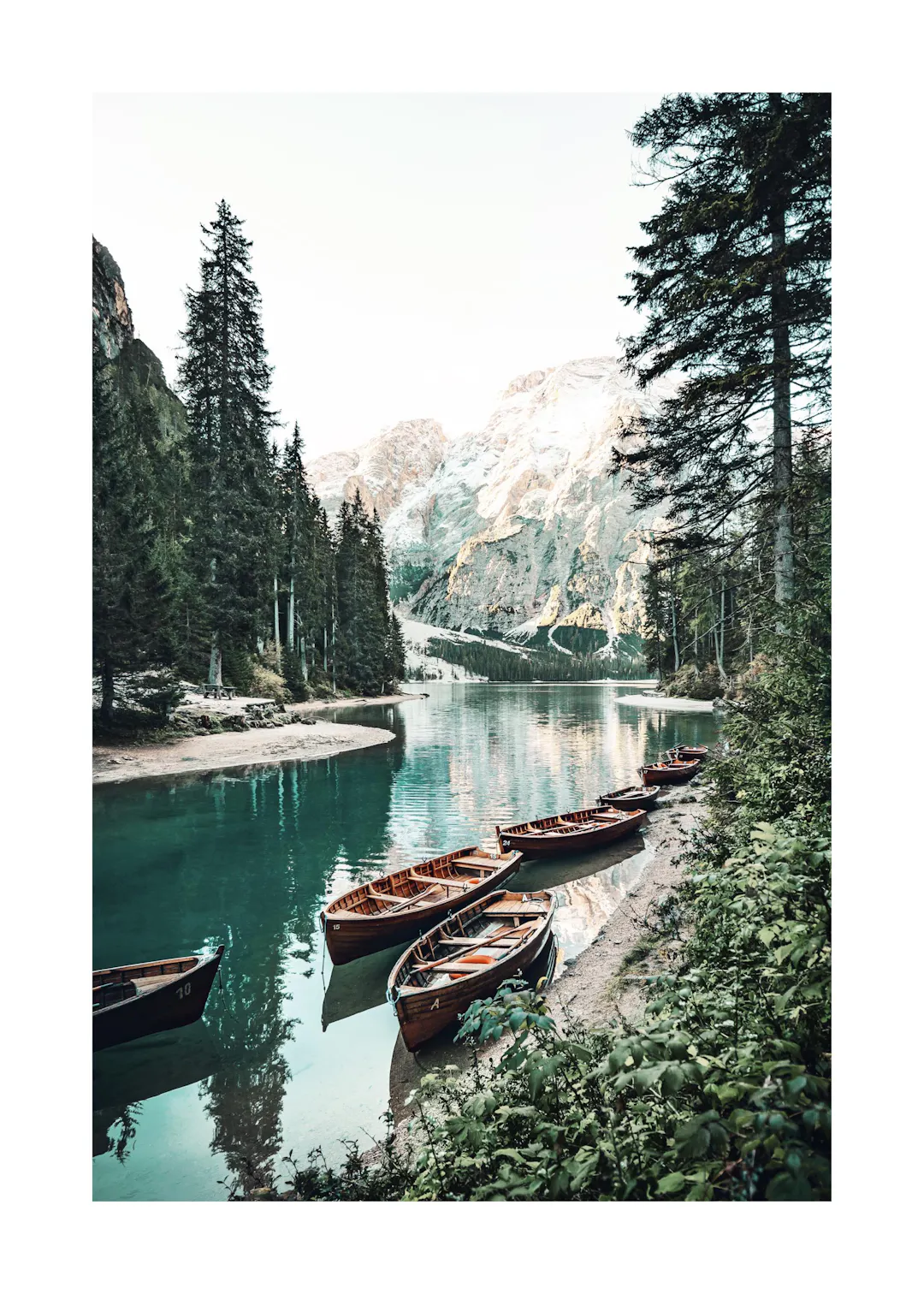 Landscape Poster - Buy Landscape Prints online
