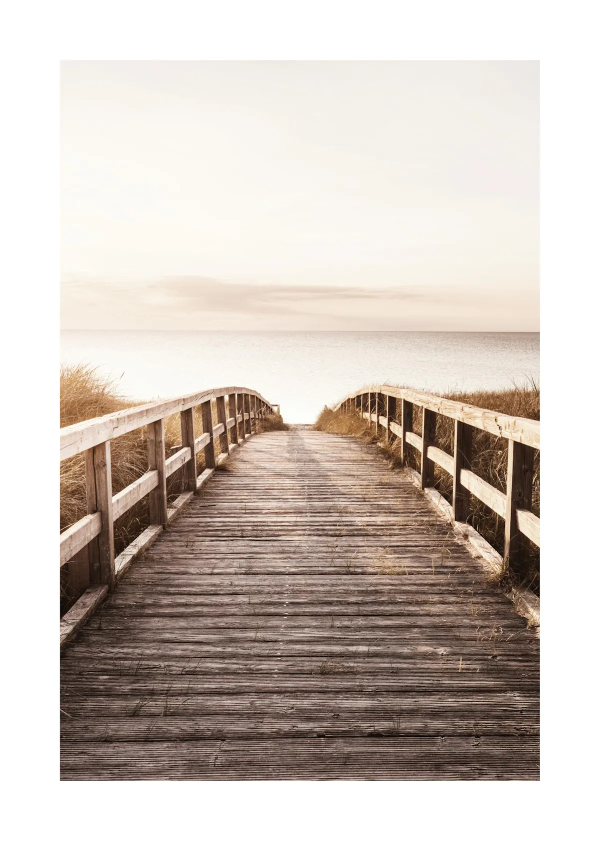Posters 50x70 cm Online - Buy 50x70 cm Prints