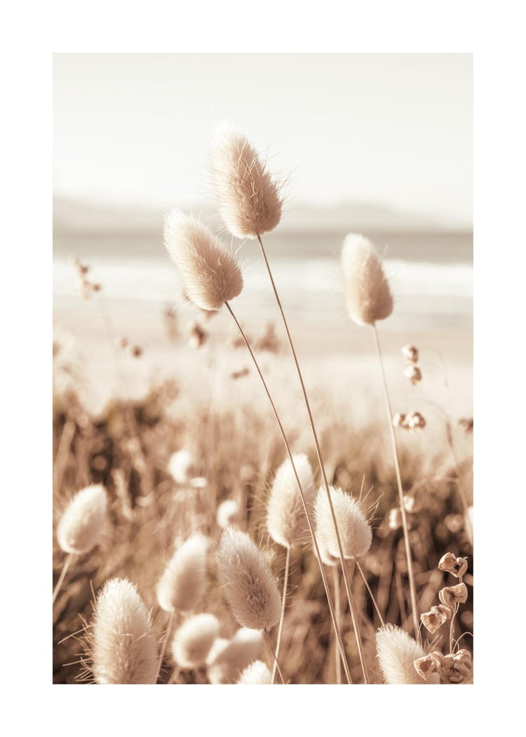 Tavlor för Alla Rum – Snygg Väggkonst Online | Poster Store