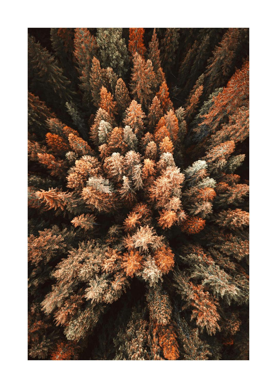 Poster di Natura - Compra Stampe con motivi naturali