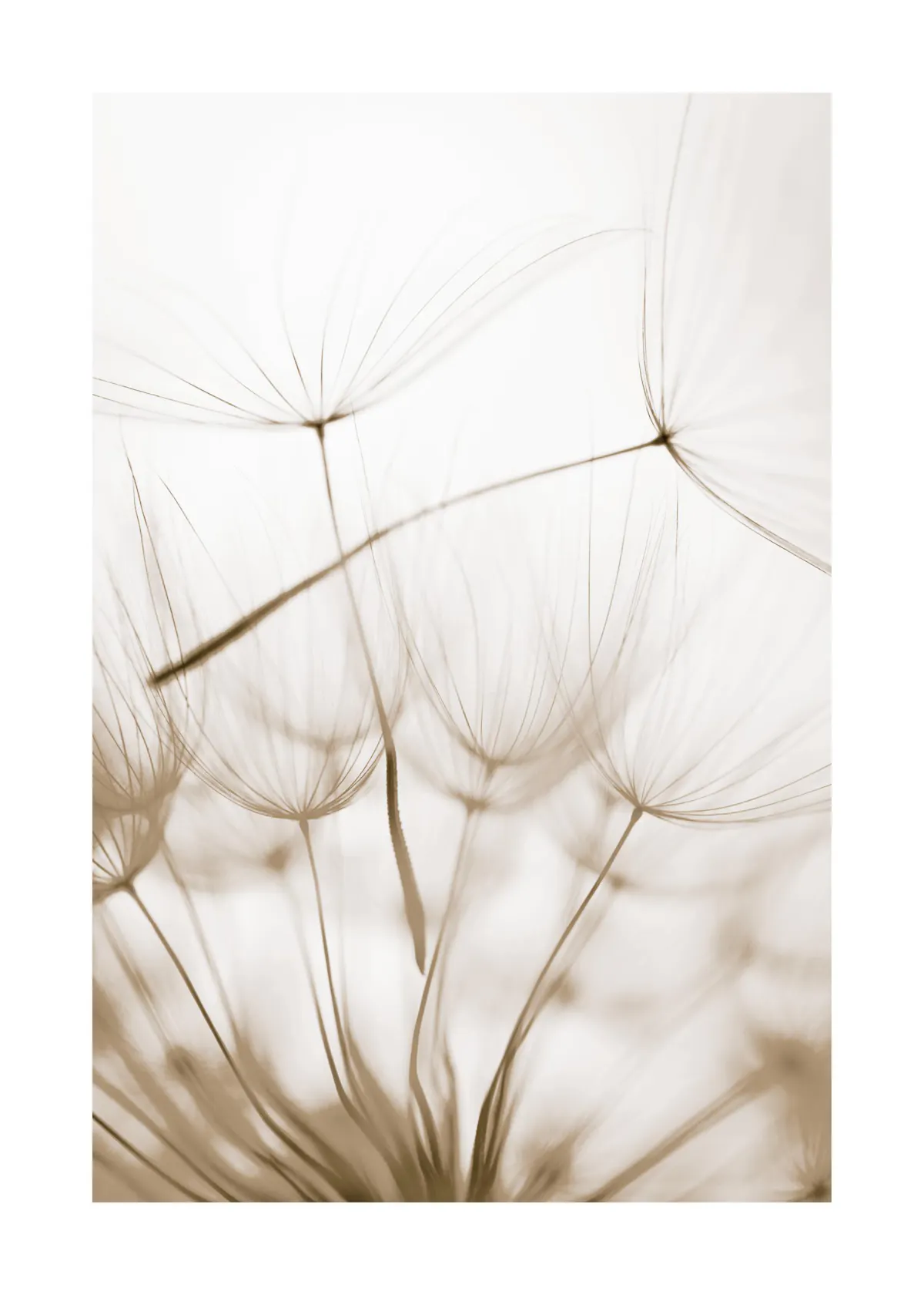 Modern gallery wall with minimalist wall art | Poster Store CA