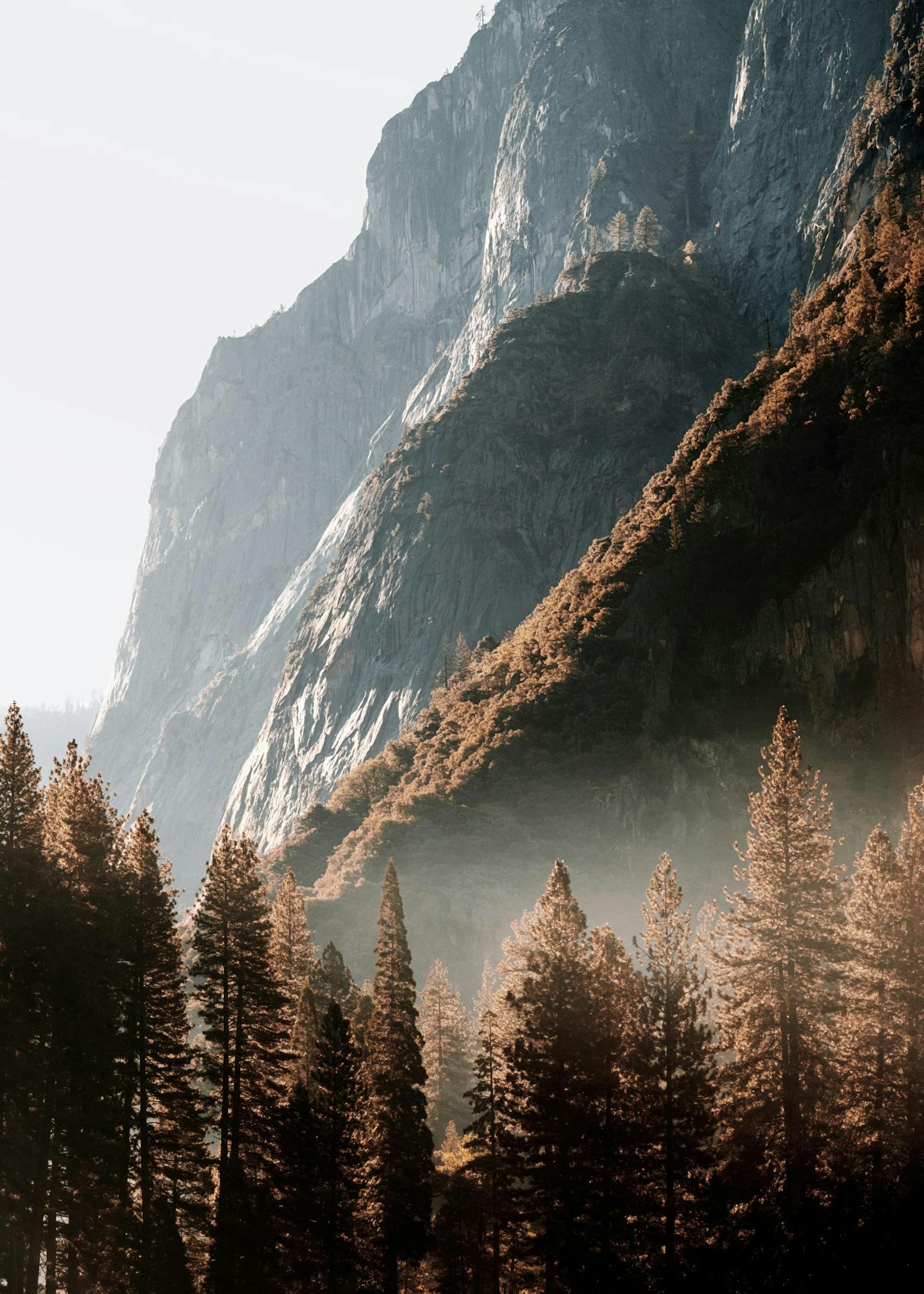 Shop discounted posters online at Posterstore.nz