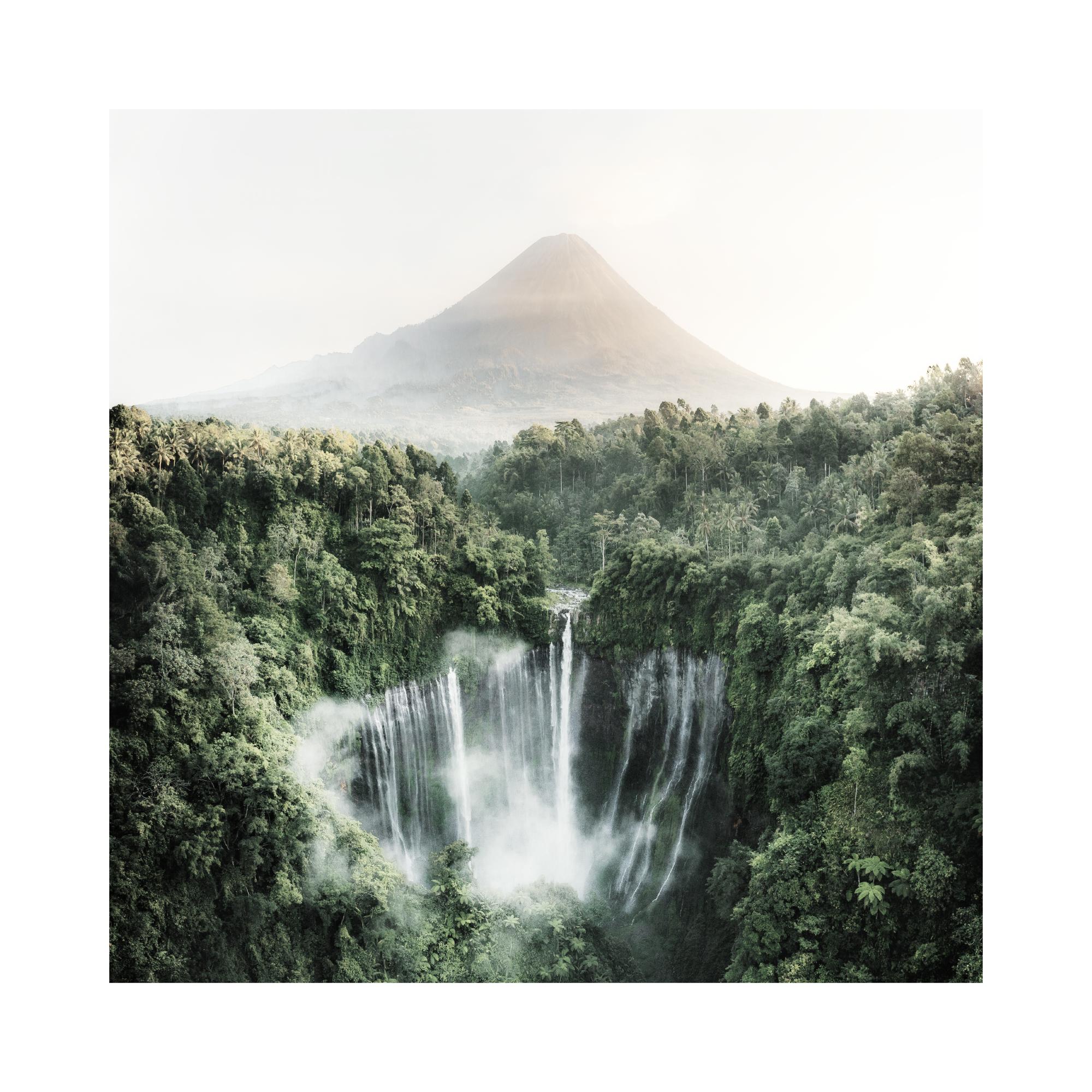 Tropical Waterfall Poster with Tropical Forest | Poster Store US