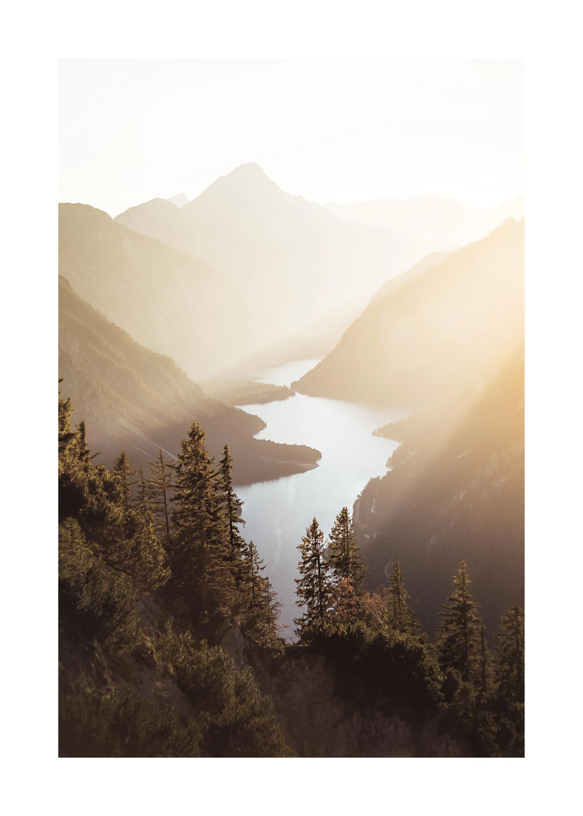 Nature Posters Online - Shop Prints