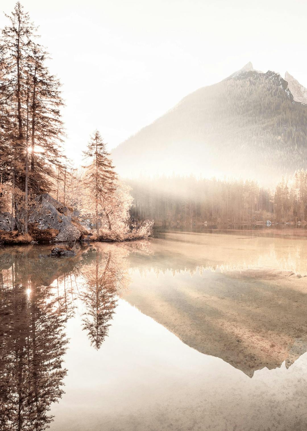 Posters 50x70 cm Online - Buy 50x70 cm Prints