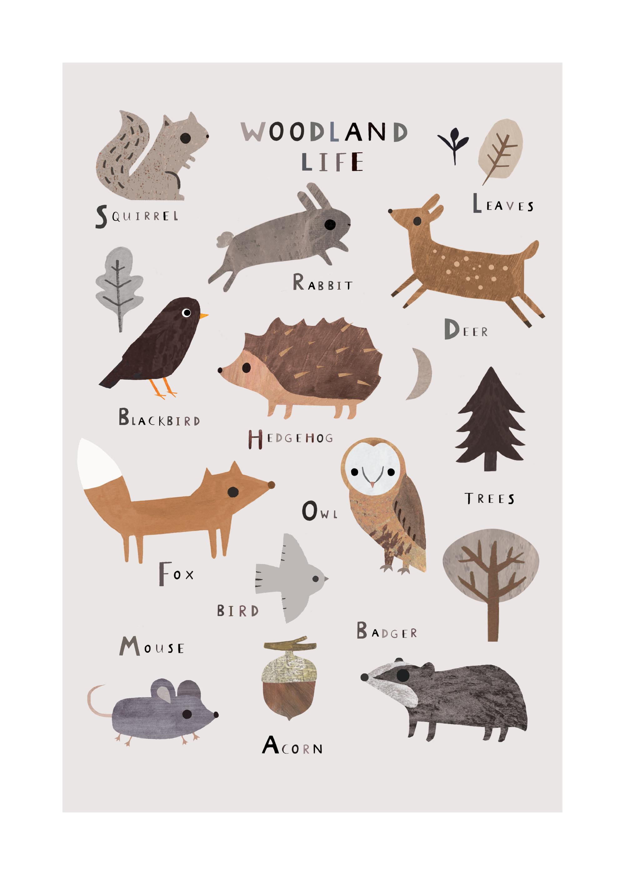 Woodland Life Poster with Forest Animals | Poster Store CA