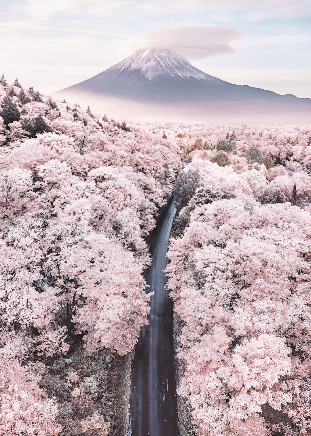 Pink Mount Fuji Poster with Serene Atmosphere | Poster Store US