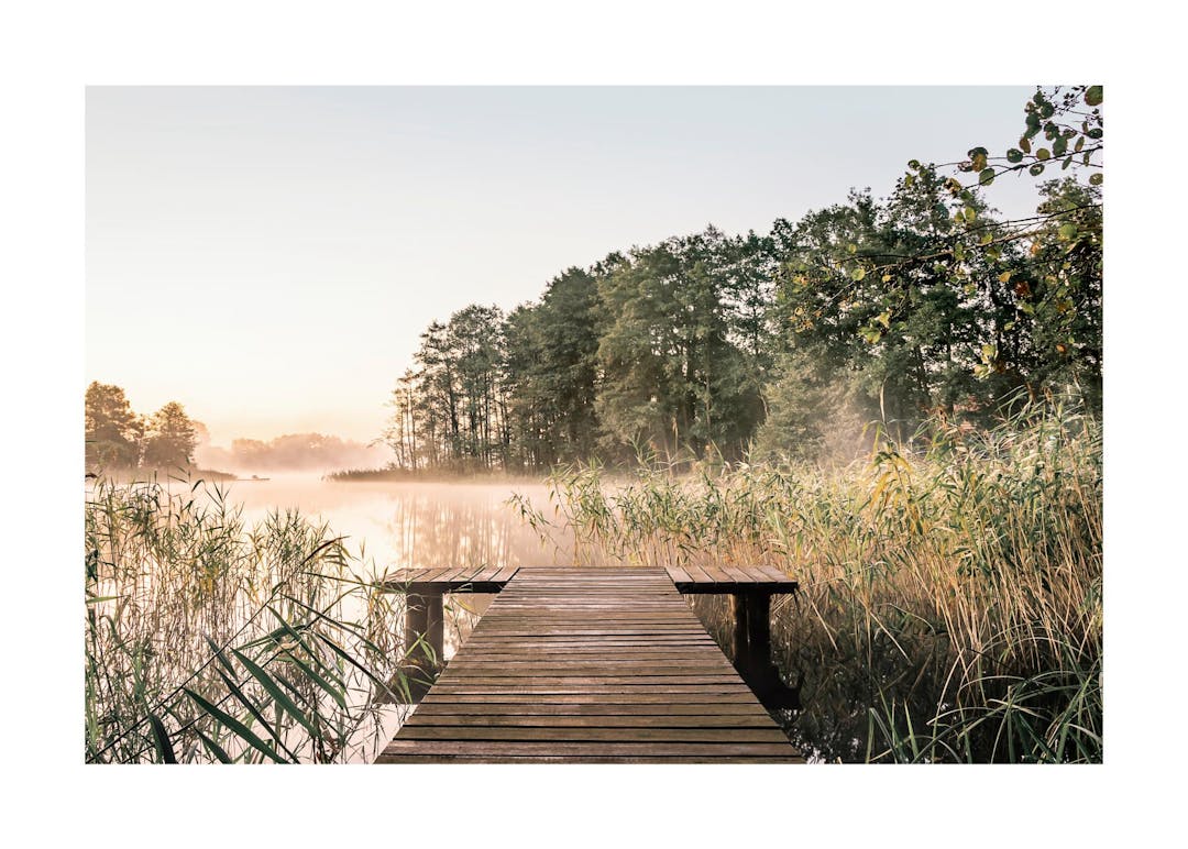 Ochtendwandeling in Bos Poster met herfstbos | Poster Store NL