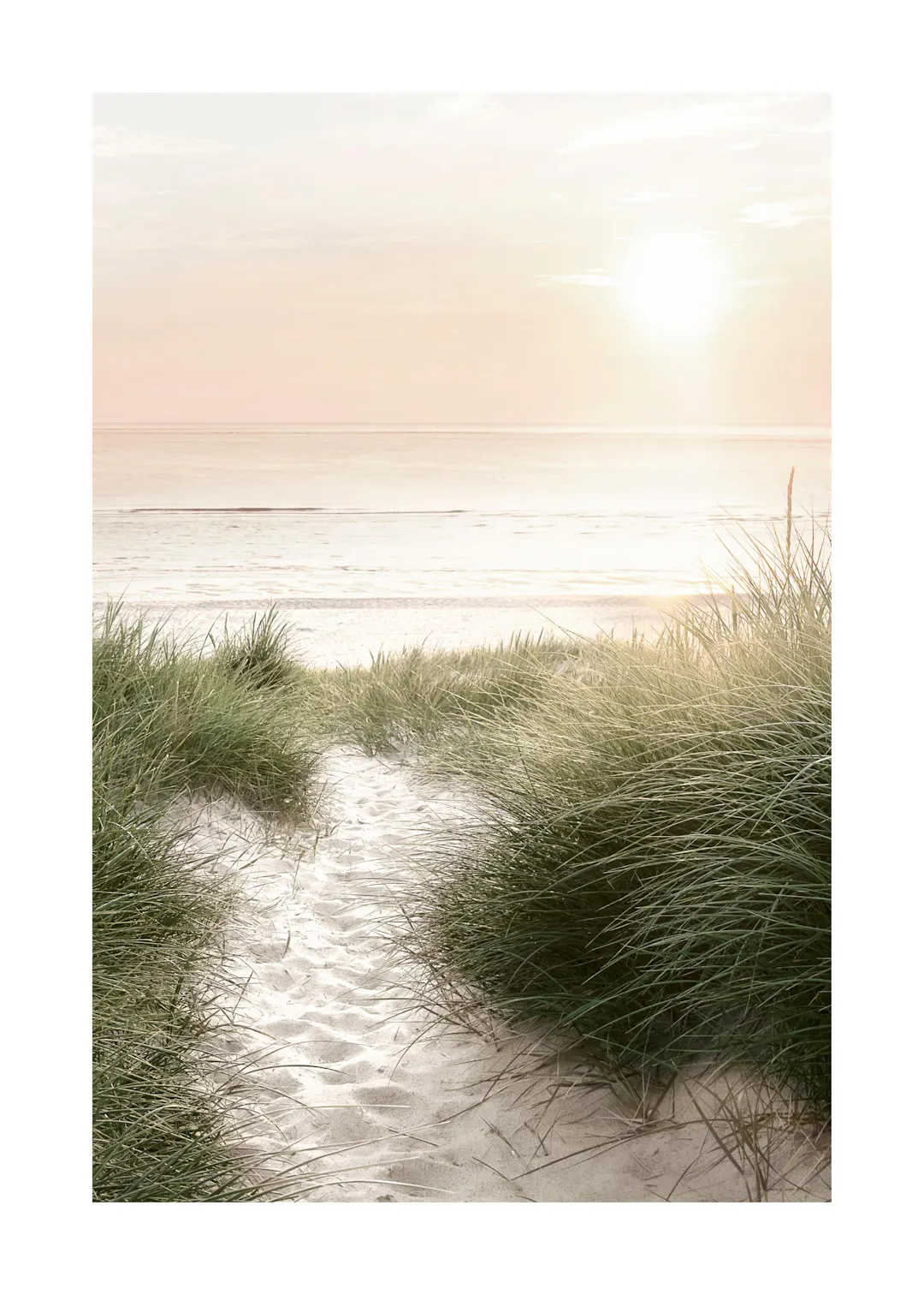Landscape Poster - Buy Landscape Prints online