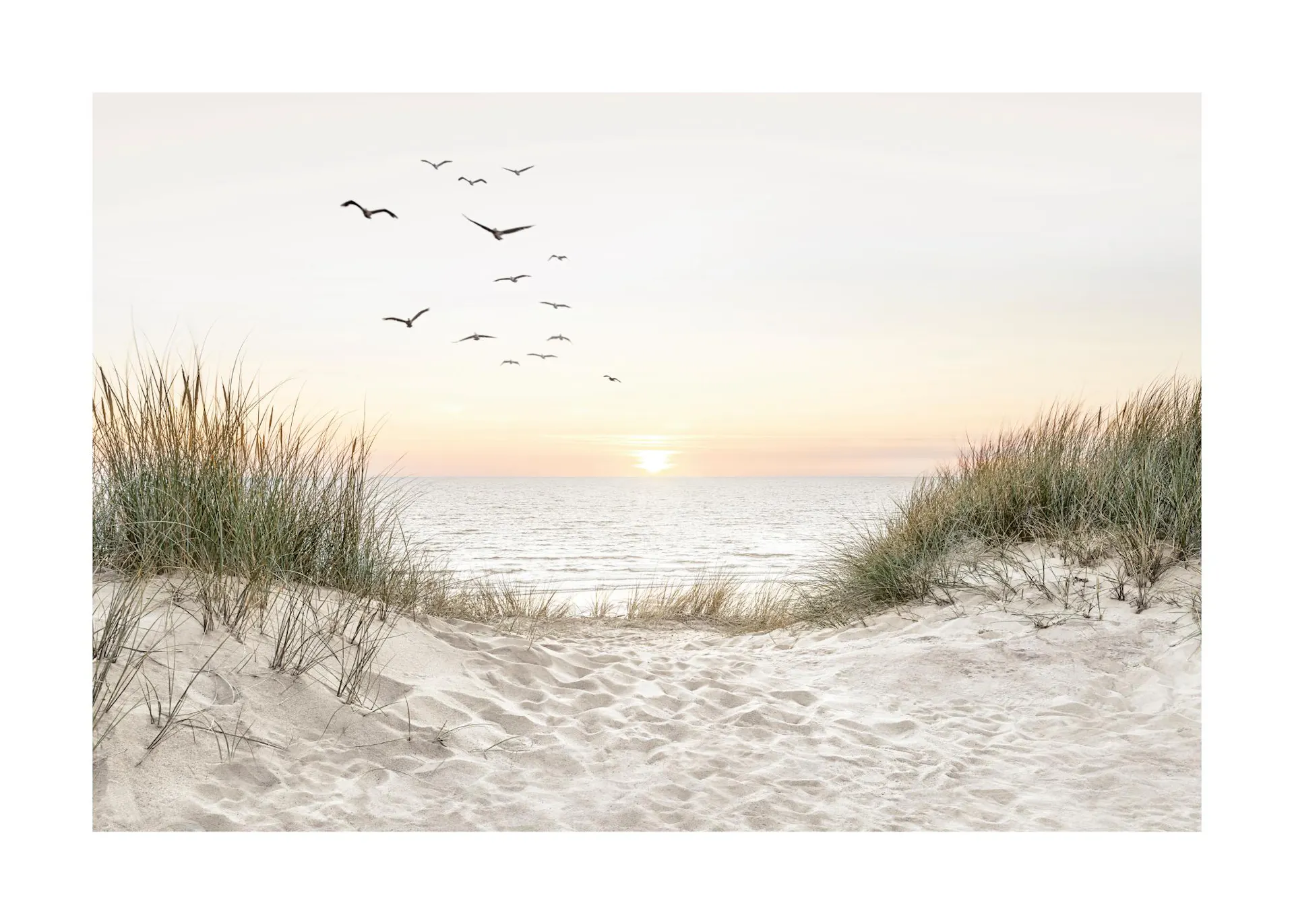 Posters strand | Posters van stranden & kusten | Posterstore.nl