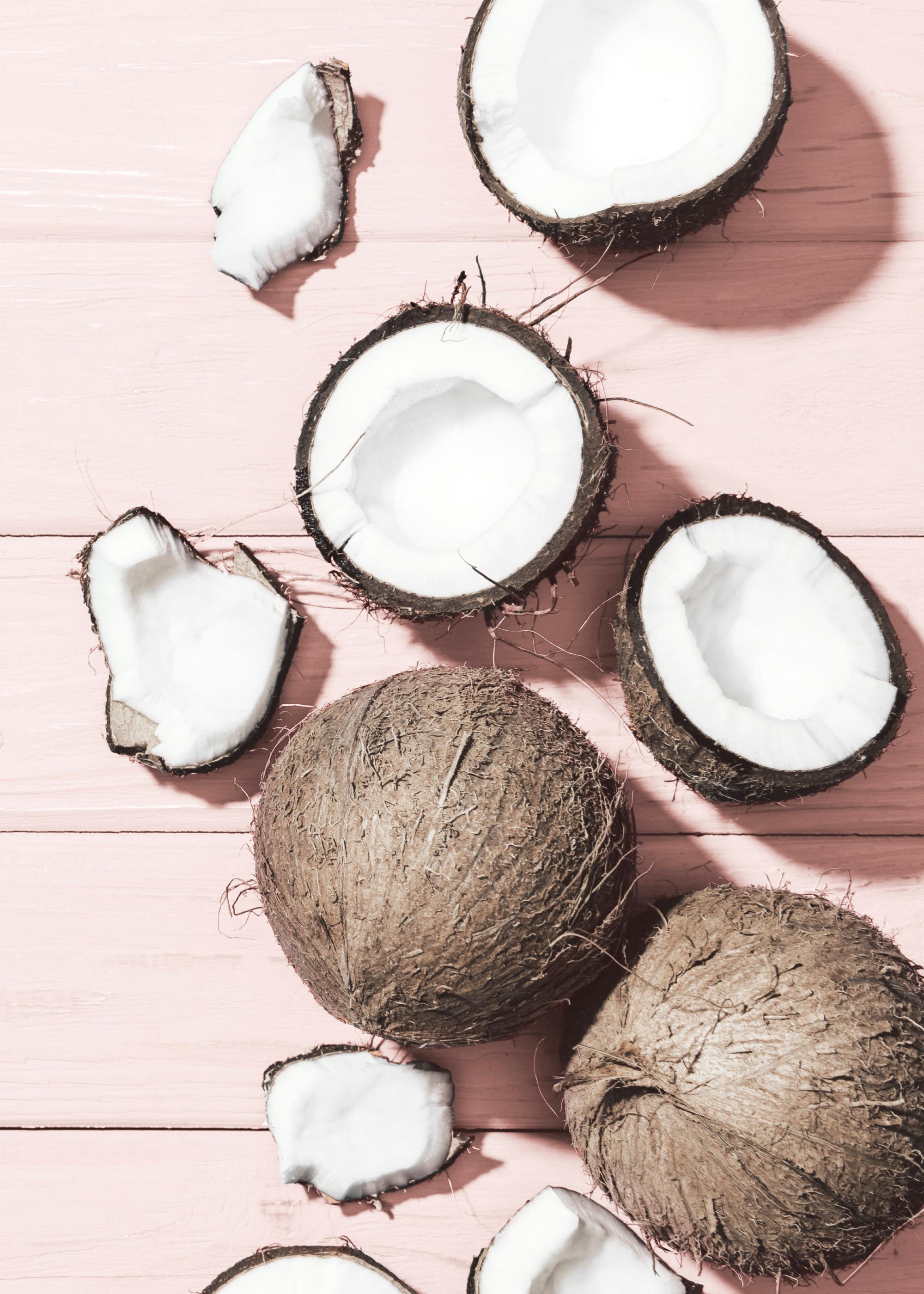 Coconuts on Pink Poster with Coconuts Style | Poster Store US