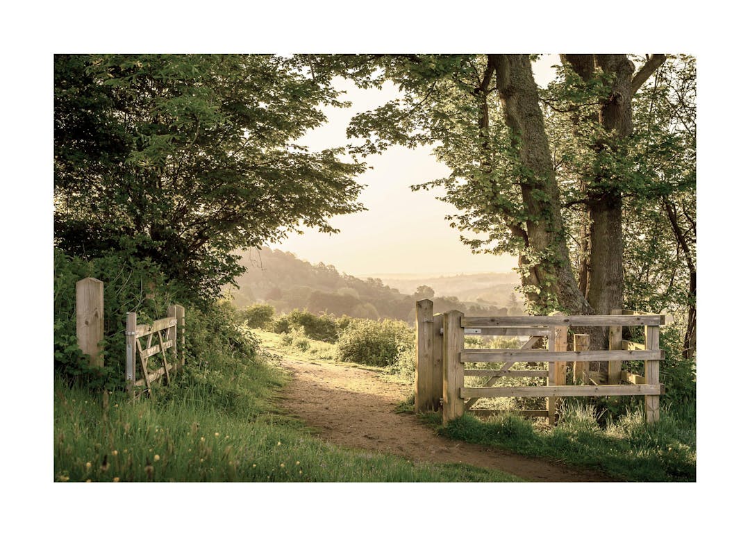 Ochtendwandeling in Bos Poster met herfstbos | Poster Store NL