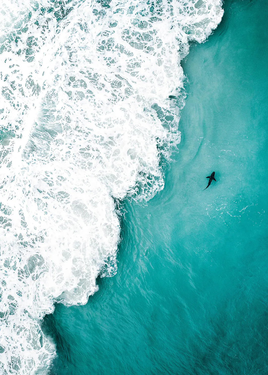 Catch the Wave Poster with Blue Wave Design | Poster Store US