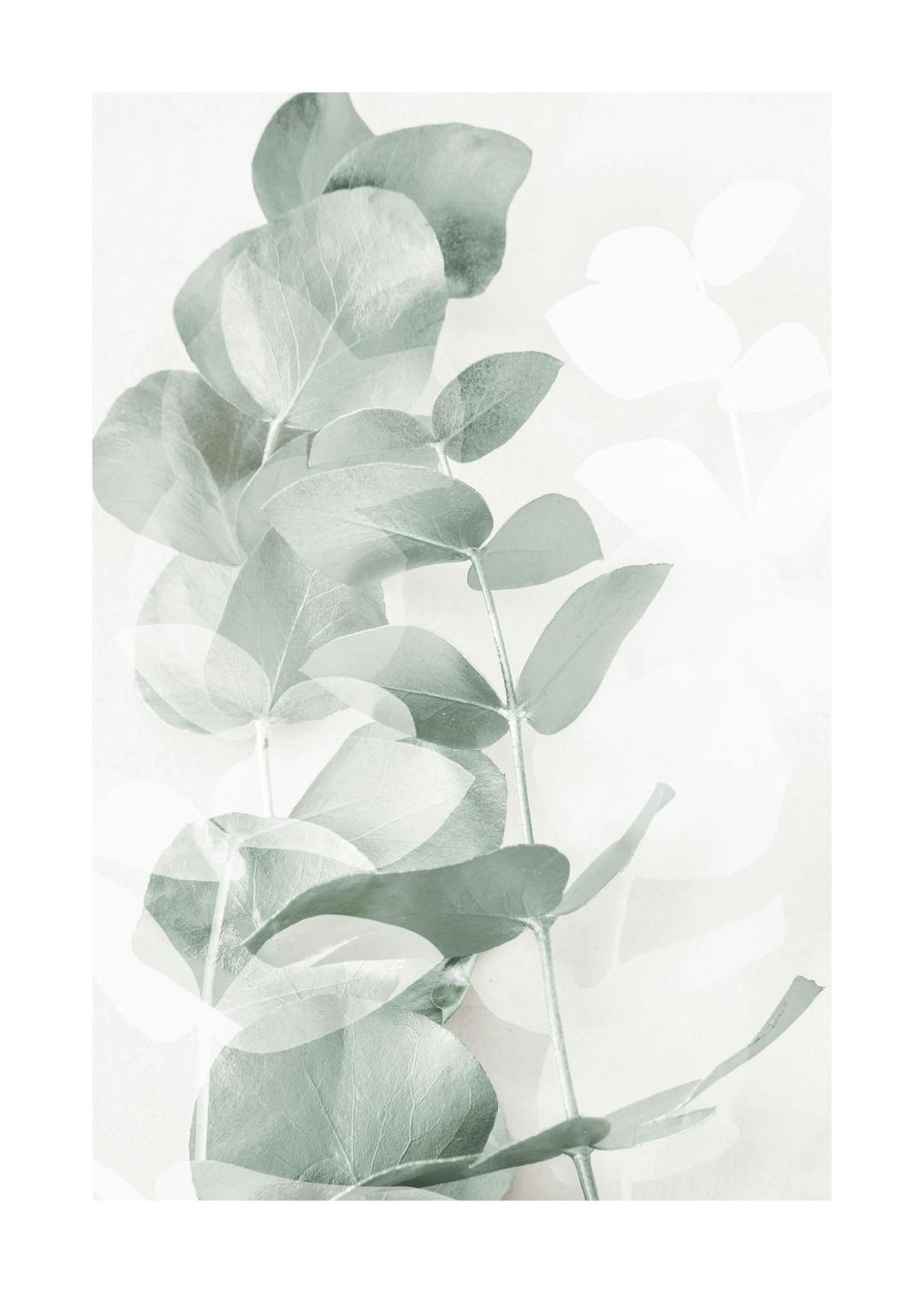 Eucalyptus Wall Poster botanico minimalista | Poster Store IT