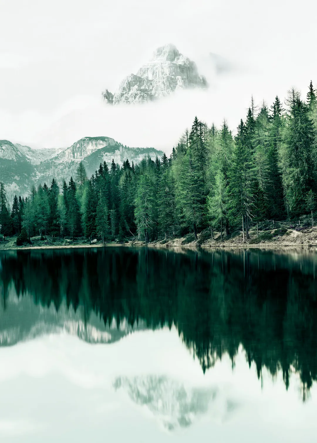 Old Wood Texture Poster with Natural Patterns | Poster Store UK