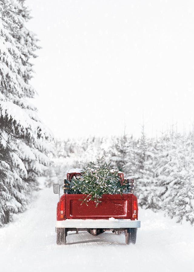 Winter Postersets mit winterlicher Kunst | Poster Store DE