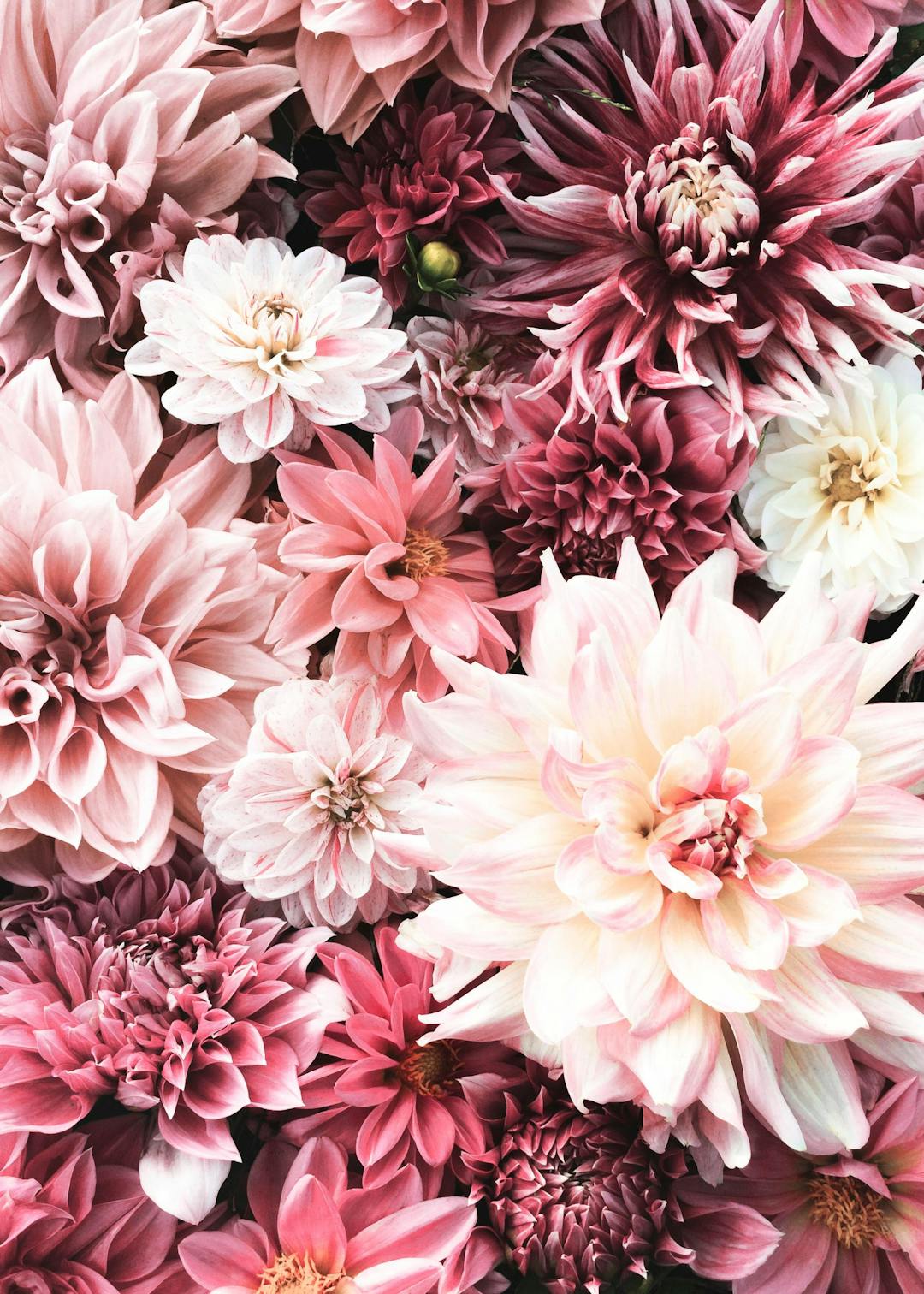 cuadros de amor - compra cuadros románticos de amor online