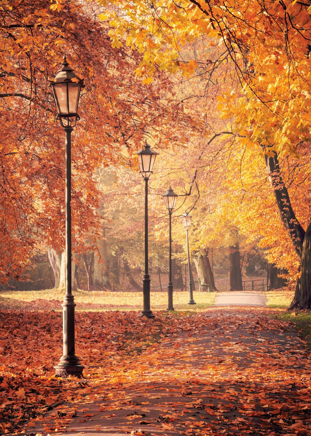 Fireplace Poster with Cosy Fireplace Ambience | Poster Store CA