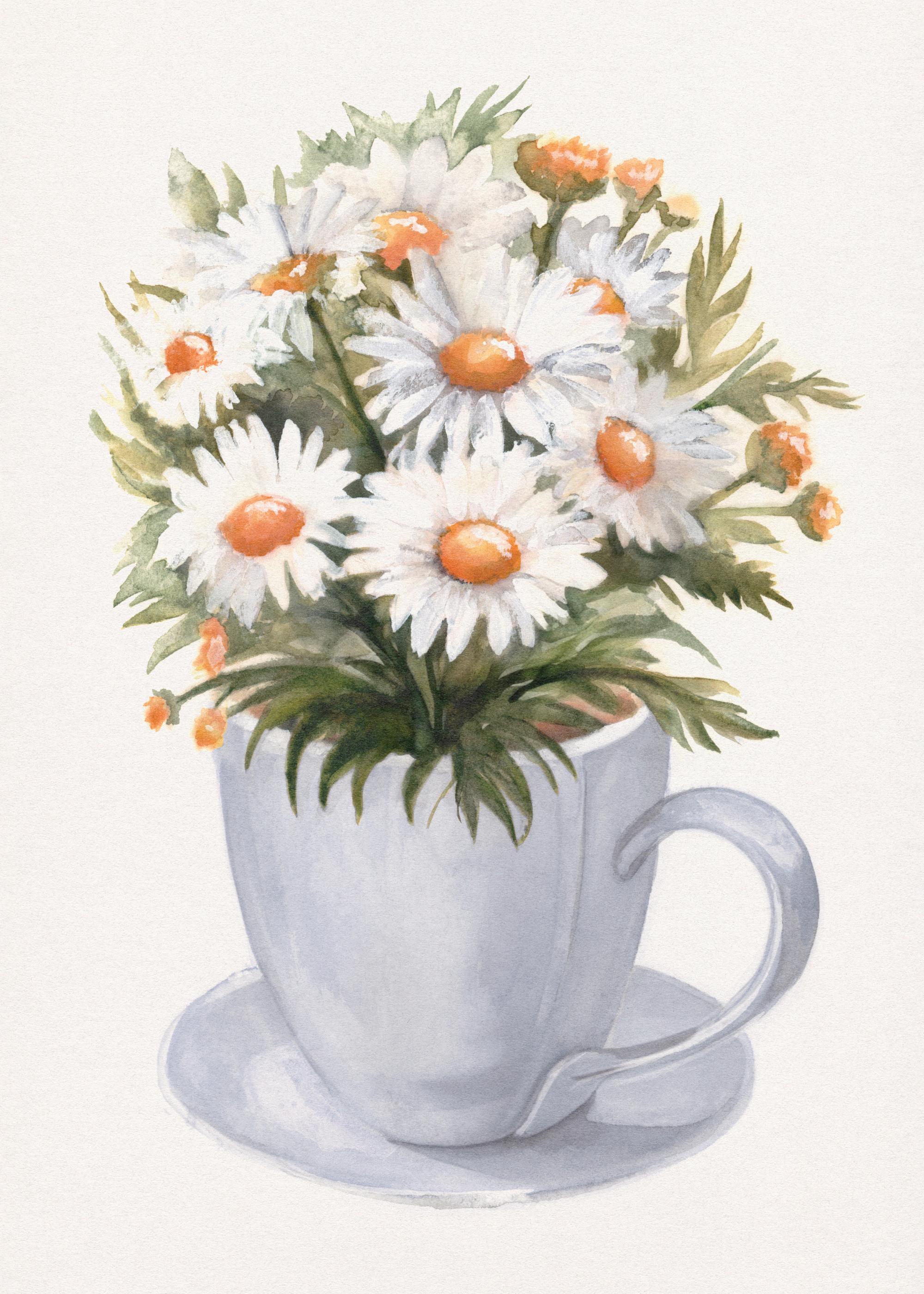 Cup of Daisies Watercolor Floral Poster | Poster Store NZ