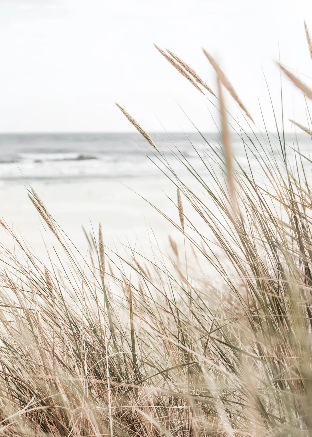 Blue Beach Wave Poster with Calming Vibes | Poster Store US
