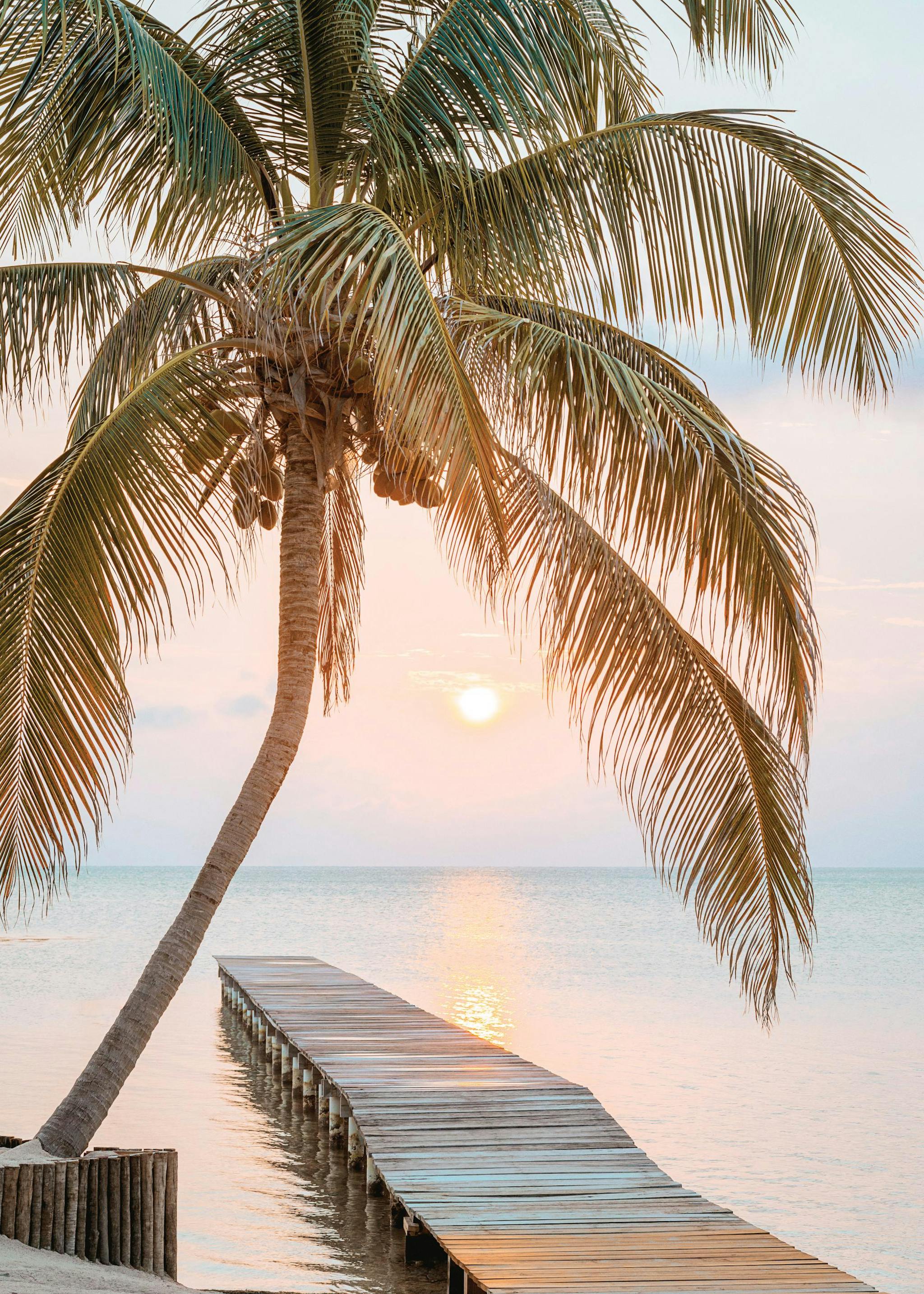 Palm Beach gallery wall with tropical beach vibes | Poster Store US