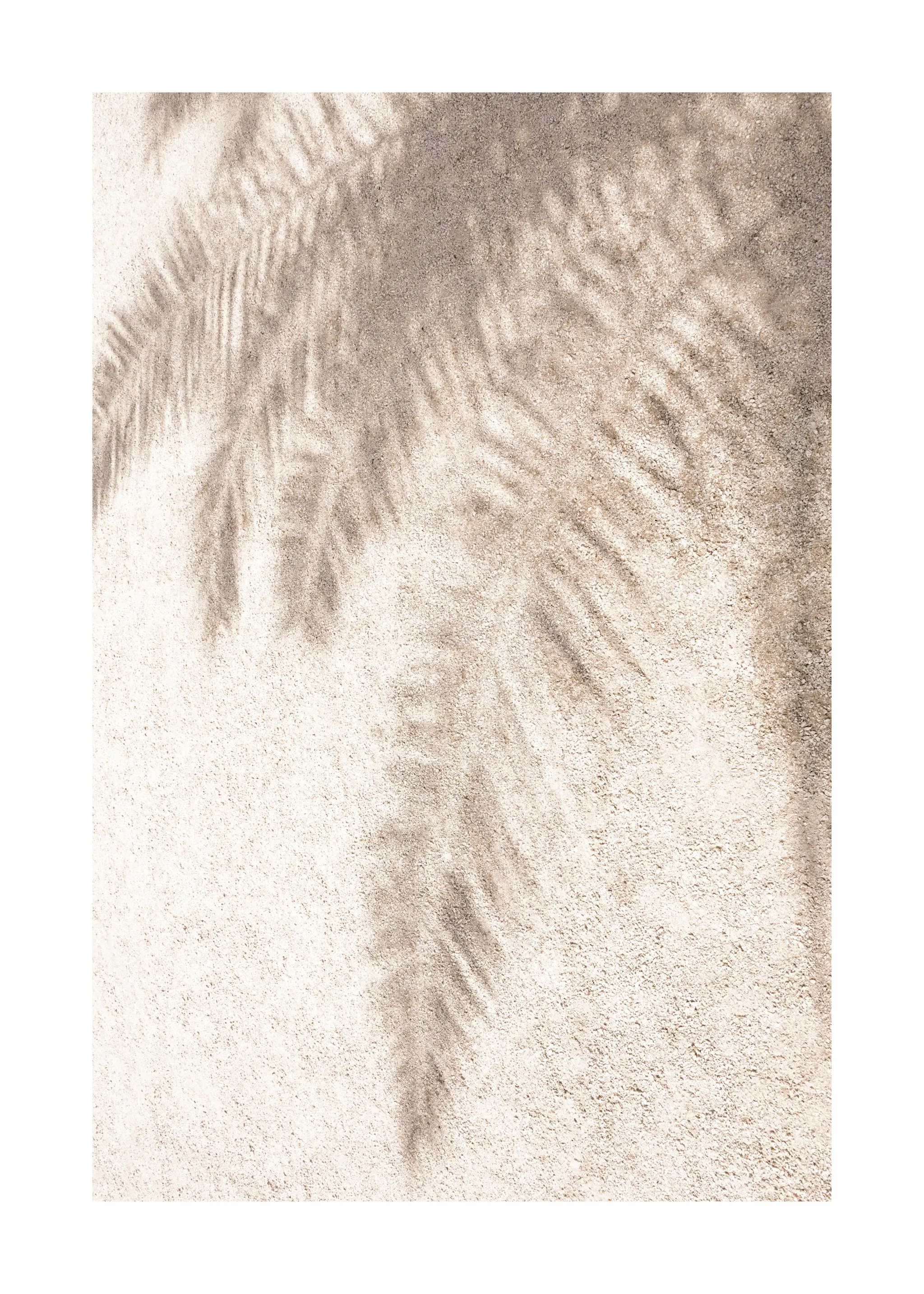 La Botanique No2 Affiche art botanique beige | Poster Store FR