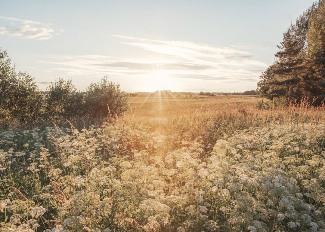 Walk to Sea Poster with Coastal Landscape | Poster Store US