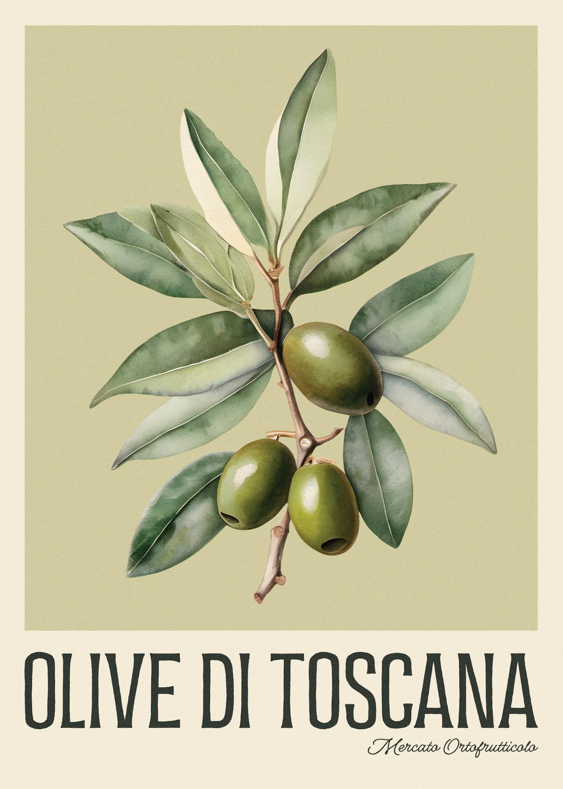 Olive Poster with Watercolor Botanical Art | Poster Store CA