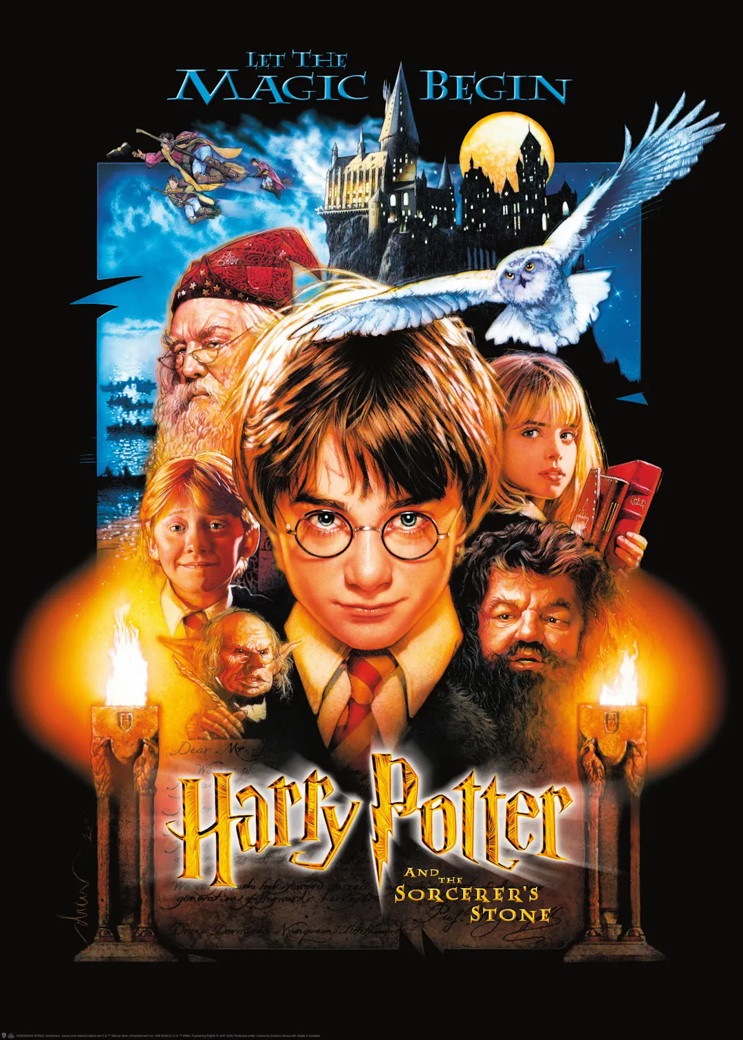 Buy Harry Potter™ posters online - Posterstore.com
