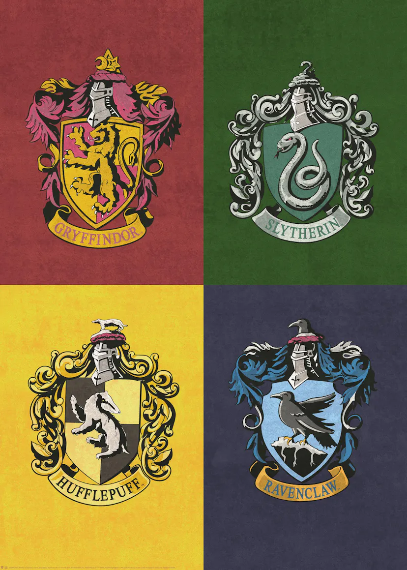 Shoppe Harry Potter™ Poster online – Posterstore.de