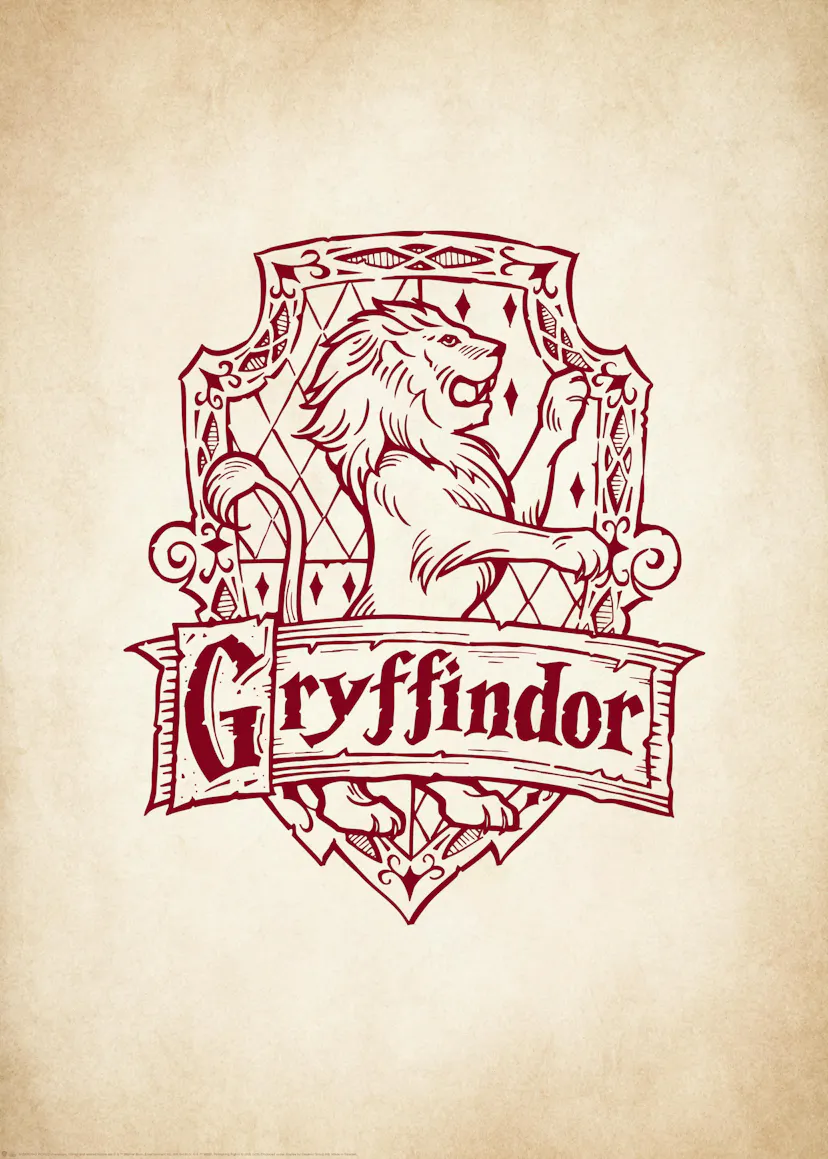 Shoppe Harry Potter™ Poster online – Posterstore.de