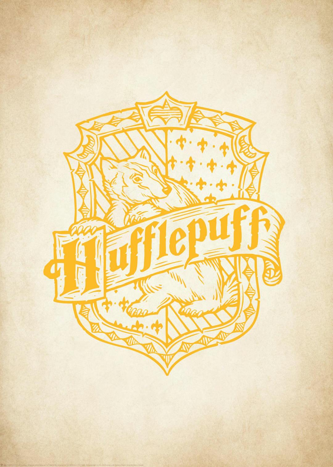 Harry Potter™ - Ravenclaw Poster with House Crest | Poster Store US