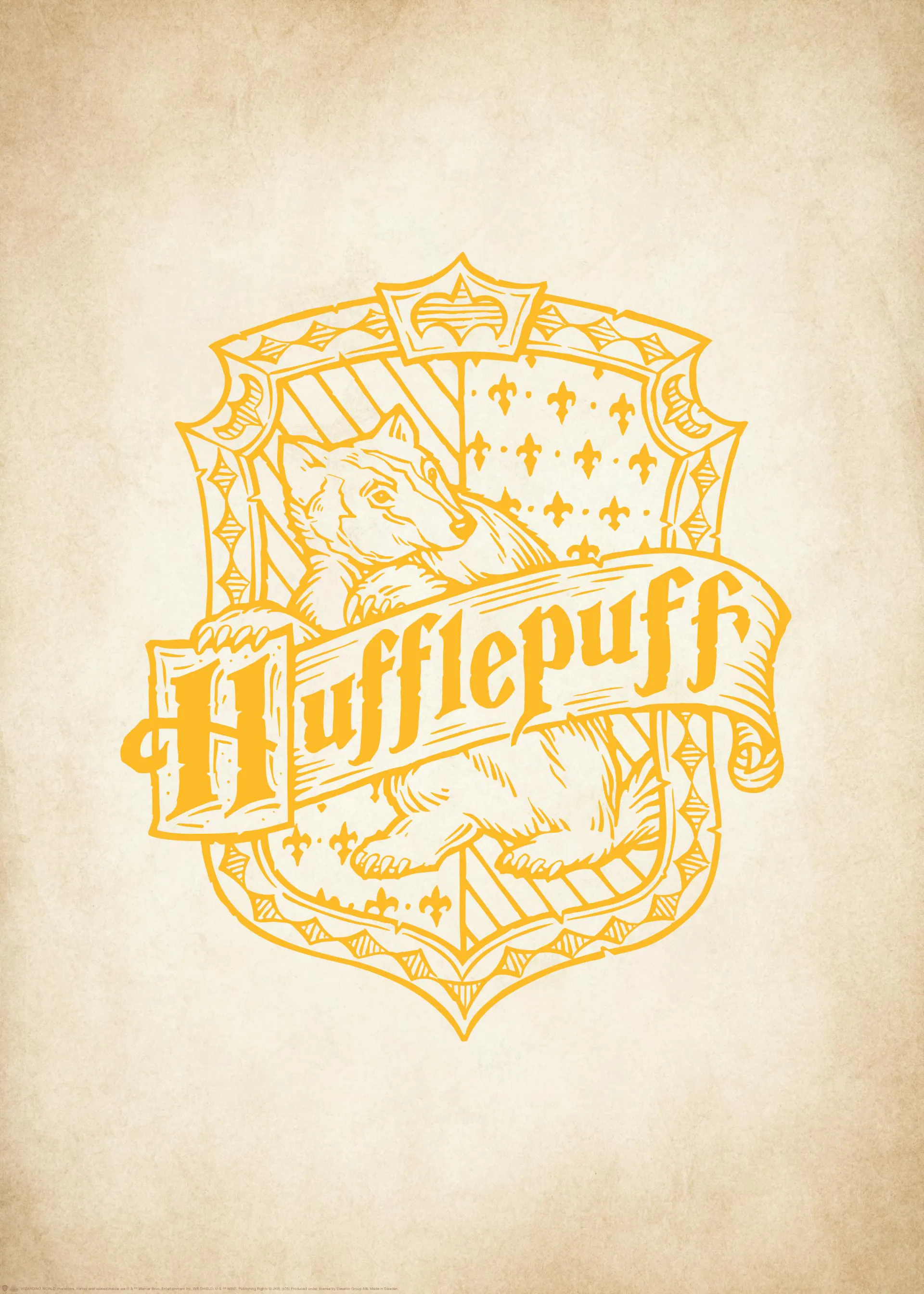 Buy Harry Potter™ posters online - Posterstore.co.uk