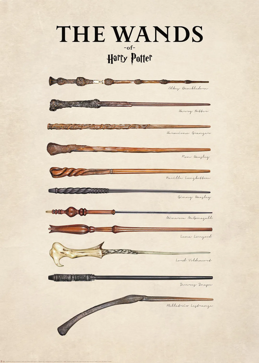 Harry Potter™ - Hogwarts School affiche Harry Potter | Poster Store FR