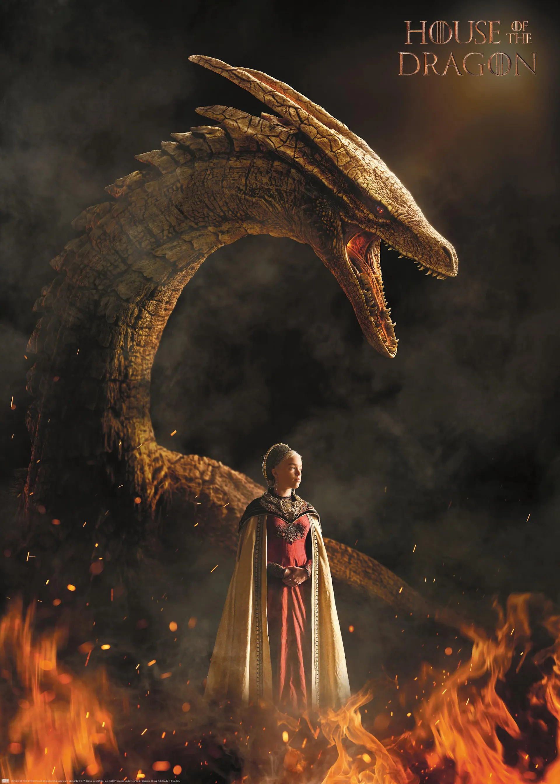 Game of Thrones™ House Targaryen Affiche | Poster Store FR