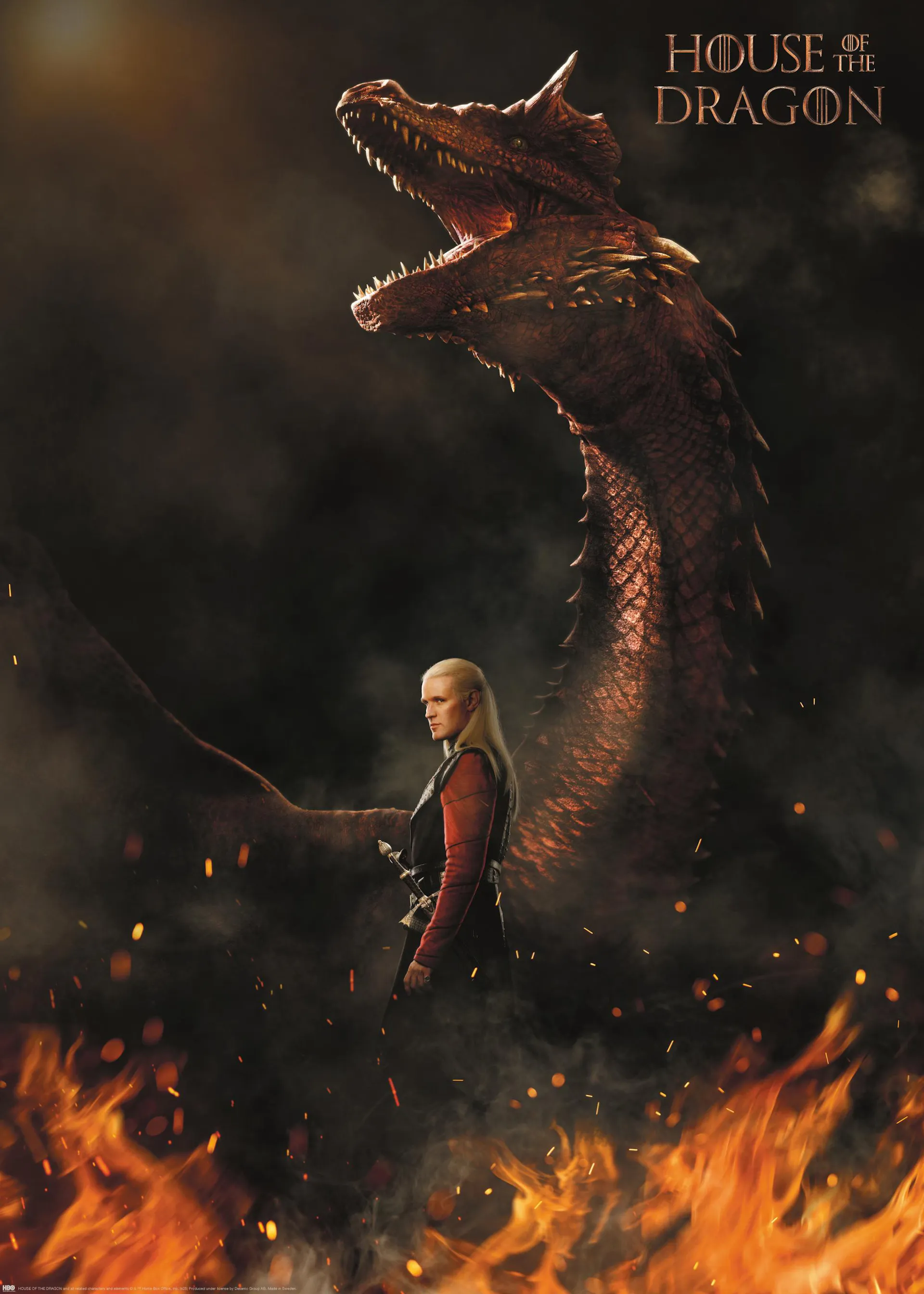 Game of Thrones™ House Targaryen Affiche | Poster Store FR
