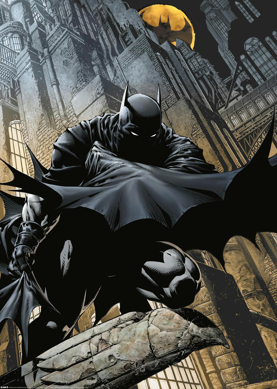 Batman™ posters - Shop Batman wall art - Posterstore.com