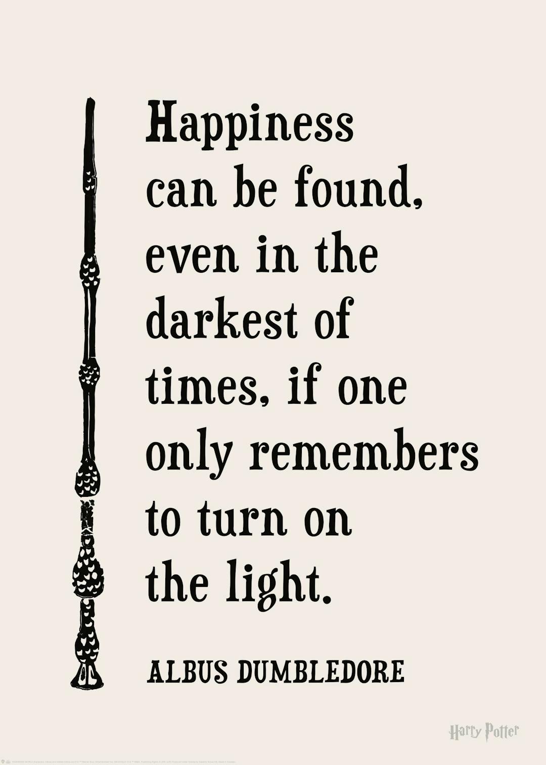 Buy Harry Potter™ posters online - Posterstore.com