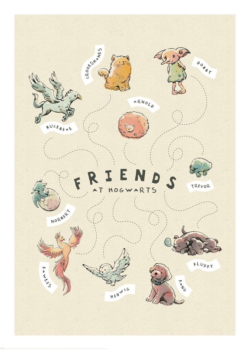 Shoppe Harry Potter™ Poster online – Posterstore.de